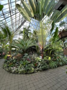 Winter Trip to Edmonton ~ A Travel Guide - Pots + Planes